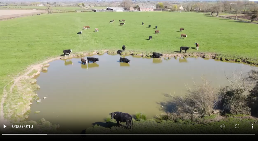 PJL are flying! - PJL