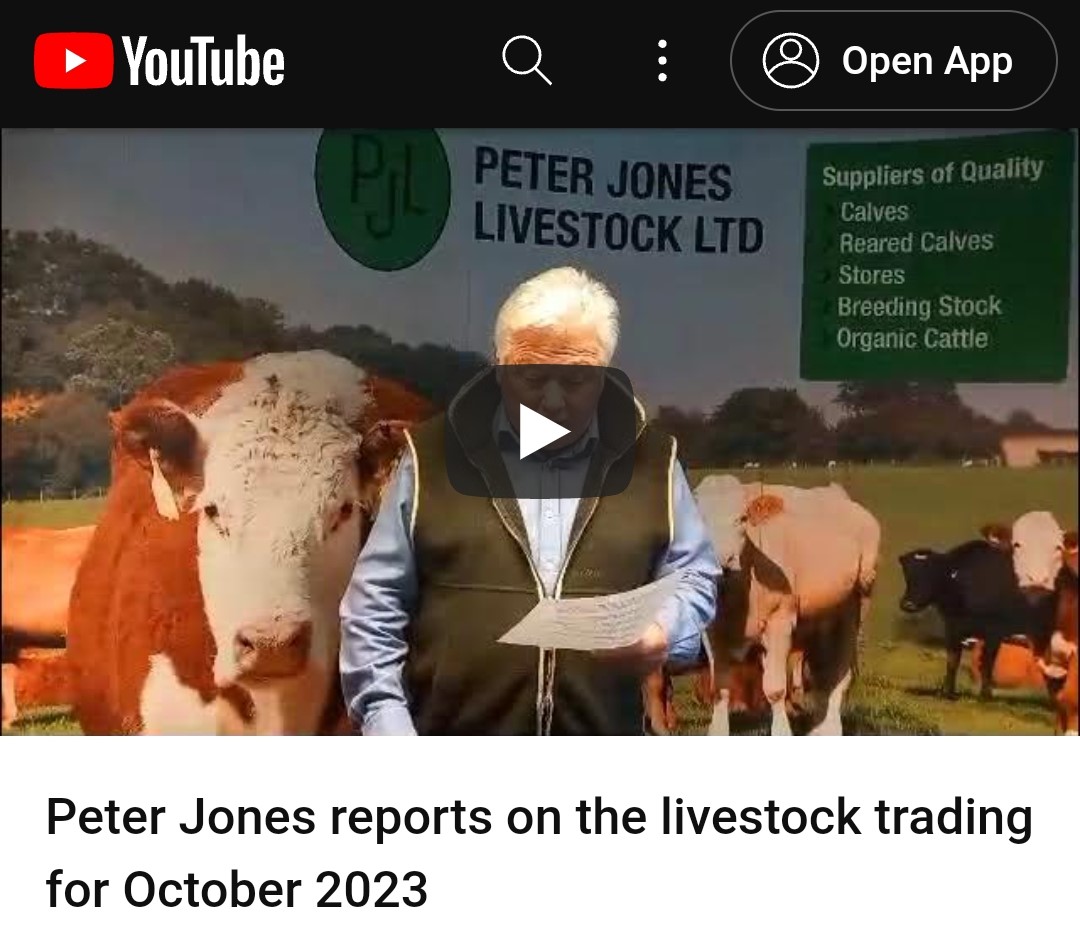 Tune in to listen to Peter's October livestock trading report - PJL